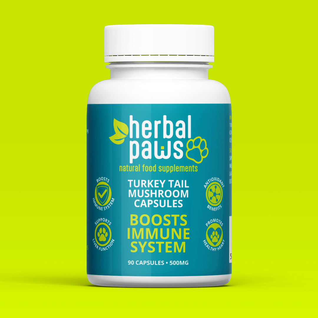 Dog Turkey Tail Mushroom Capsules – Herbal Paws